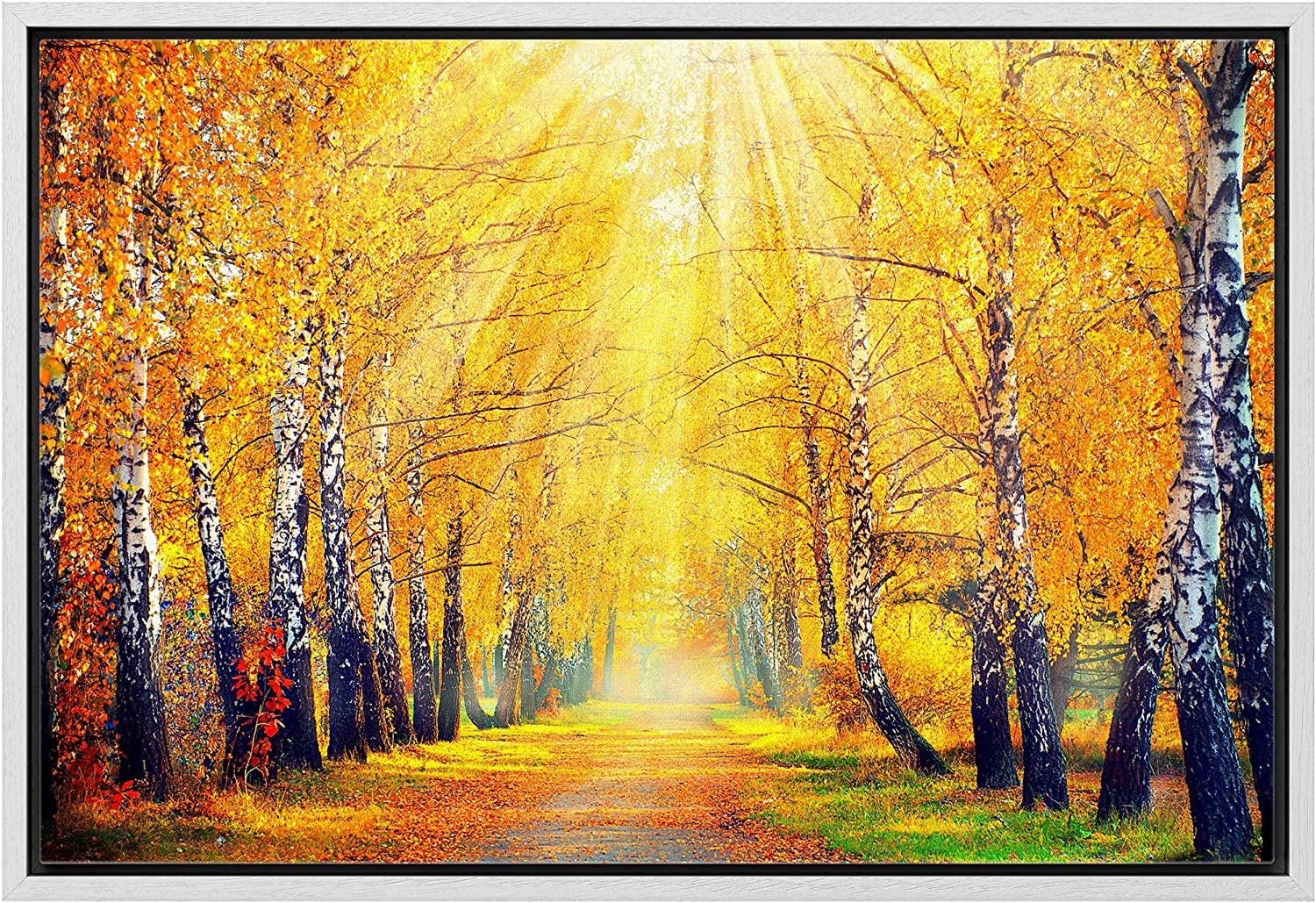 Asdg12s- Canvas Print Wall Art Sunlight Shine Over Yellow Autumn Forest ...