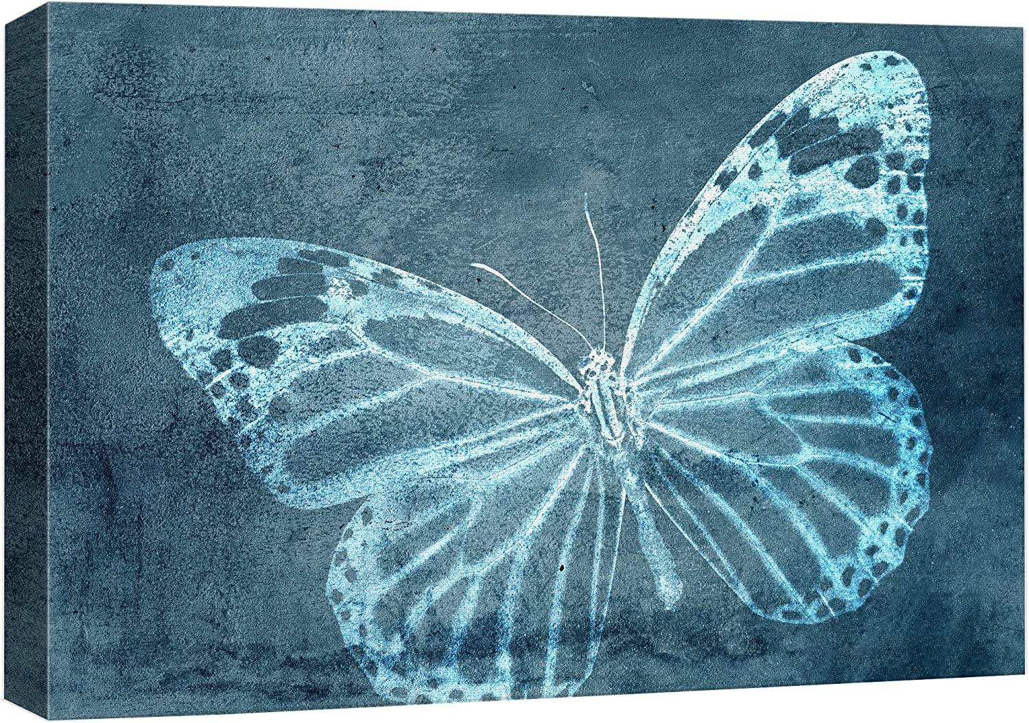 Asdg12s-Canvas Print Wall Art Vibrant Teal Blue Grunge Butterfly Wings Nature Insects Digital ...
