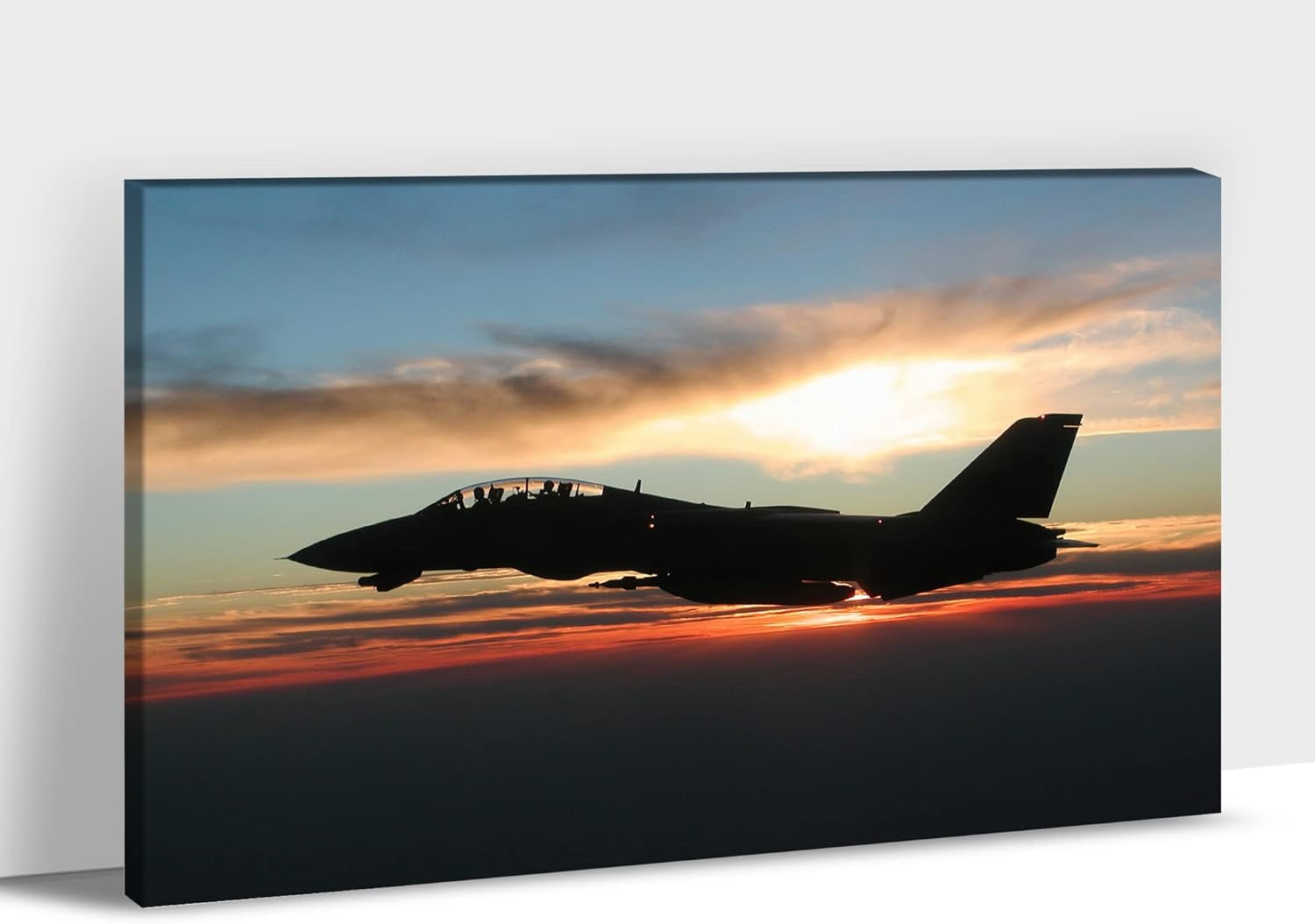 Asdg12s-Canvas Wall Art, Modern US Navy F14D Tomcat Fighter Jet ...