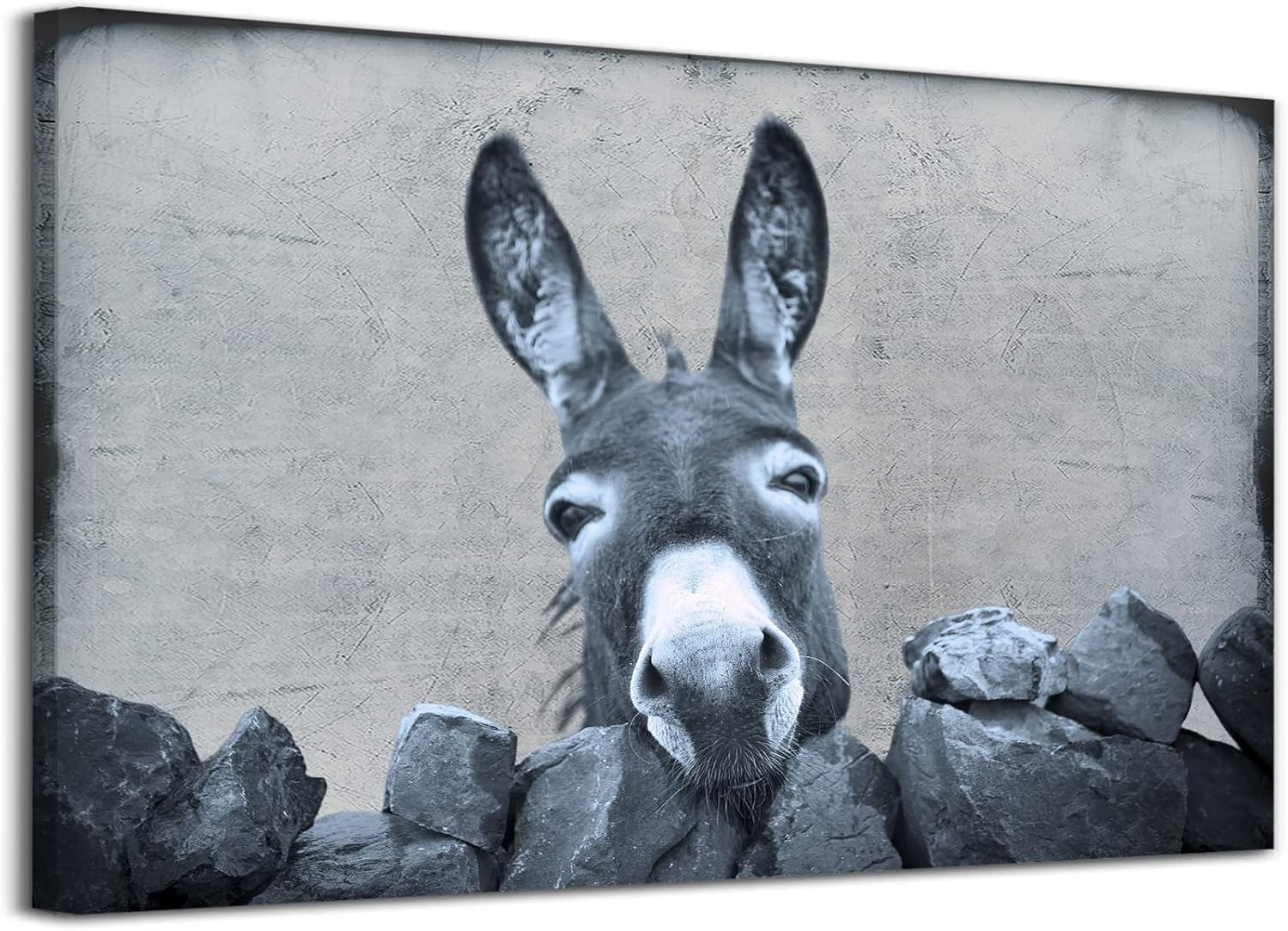 Asdg12s-Donkey Paintings Canvas Wall Art Farmhouse Animal Pictures For ...
