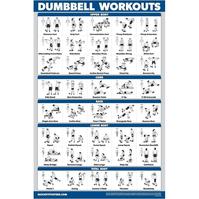 Asdg12s -Dumbbell-Workout-Exercise-Poster---Free-Weight-Body-Building ...