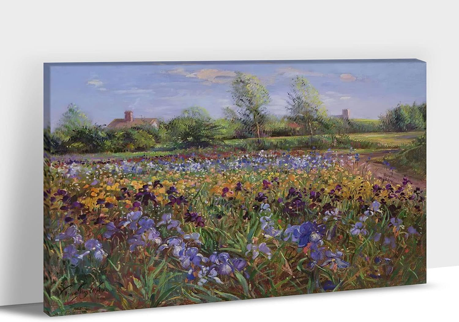 Asdg12s-Farmhouse Wall Art - Plant Flower Pictures Art, Country Irises ...