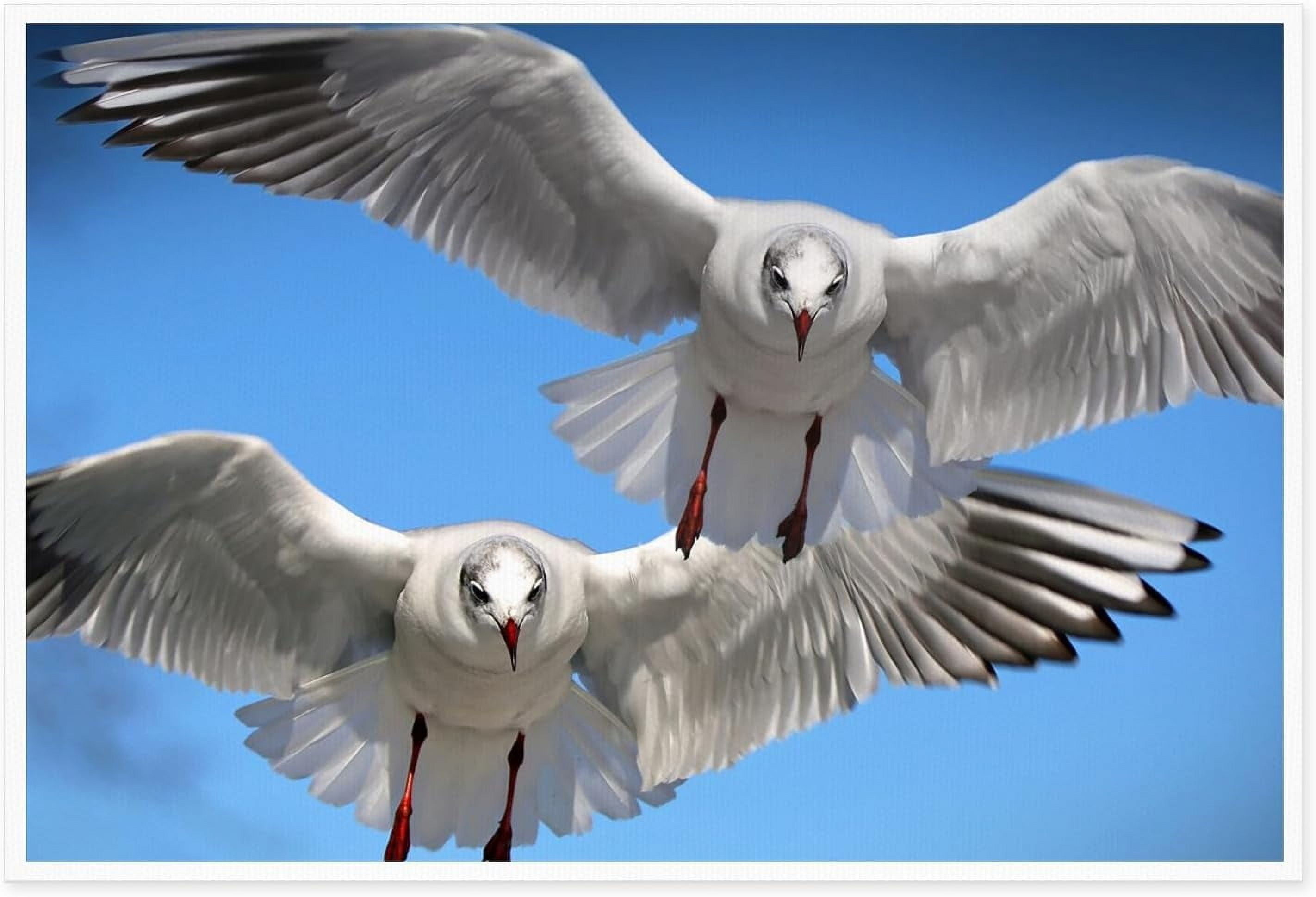 Asdg12s-Flying Seagull Canvas Painting Modern Abstract Wall Art Bird ...