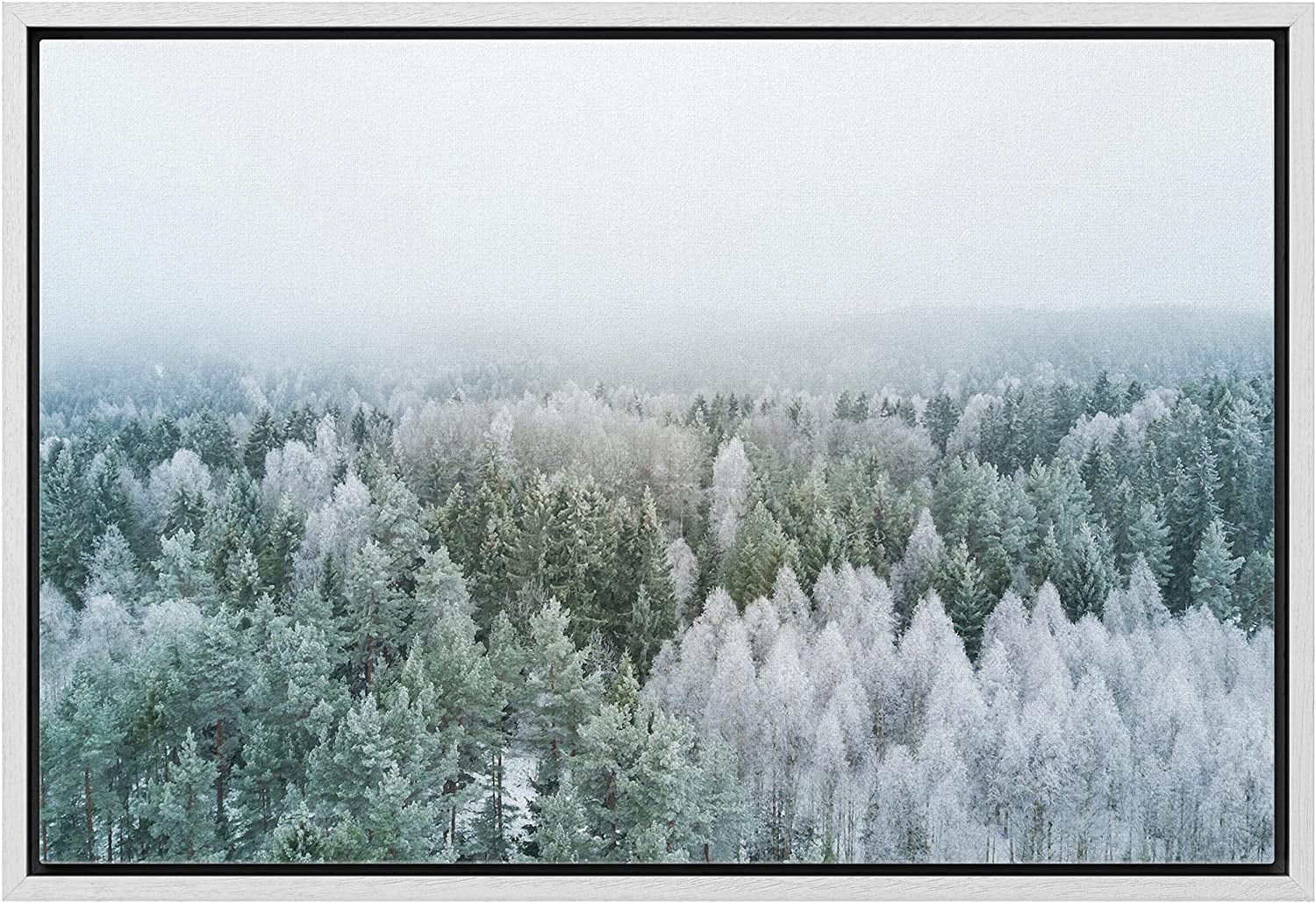 Asdg12s-Framed Canvas Print Wall Art White & Green Foggy Pine Tree ...