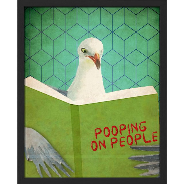 Asdg12s-Framed Pooping on People, Hilarious Funny Pigeon Studying on ...