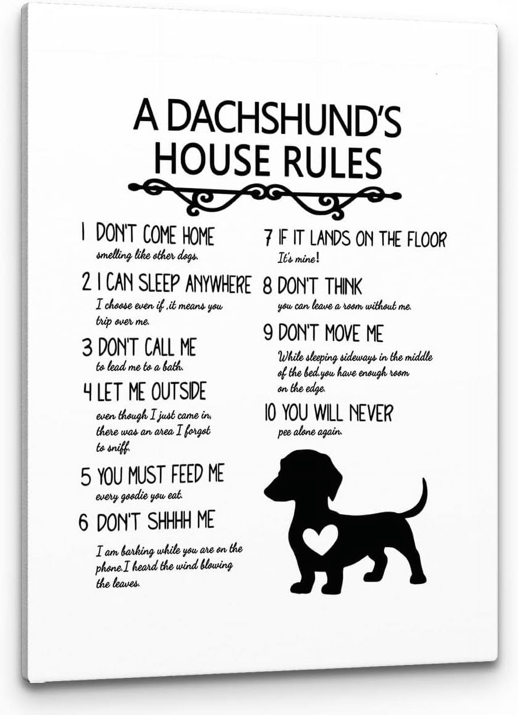 Asdg12s-KSIW-A Great Dane‘s House Rules Wall Art,Funny Great Dane Dog ...
