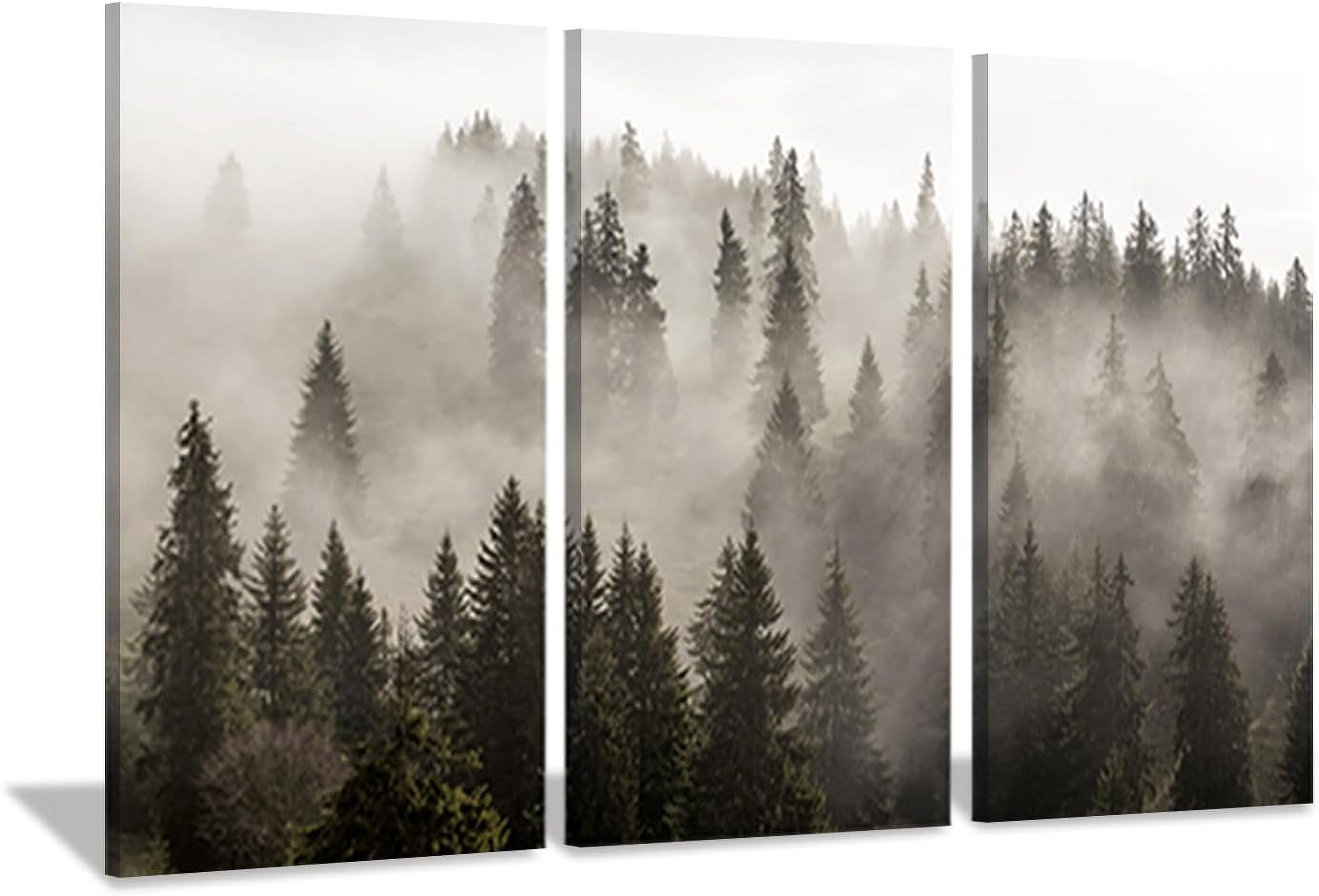 Asdg12s-Natural Forest Wall Art Paintings: Photographic Artworks Dark ...