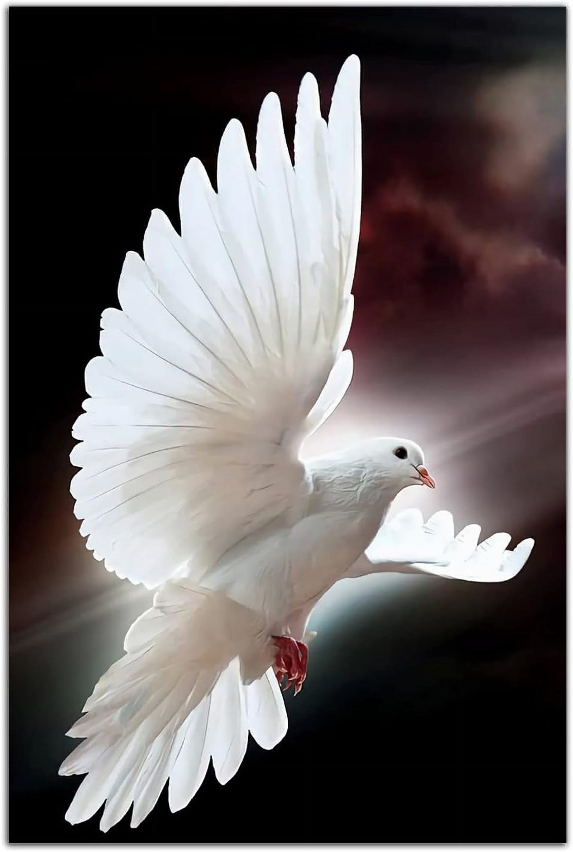 Asdg12s-Peace Bird White Dove Swing Flying In The Sun Wall Art Picture ...