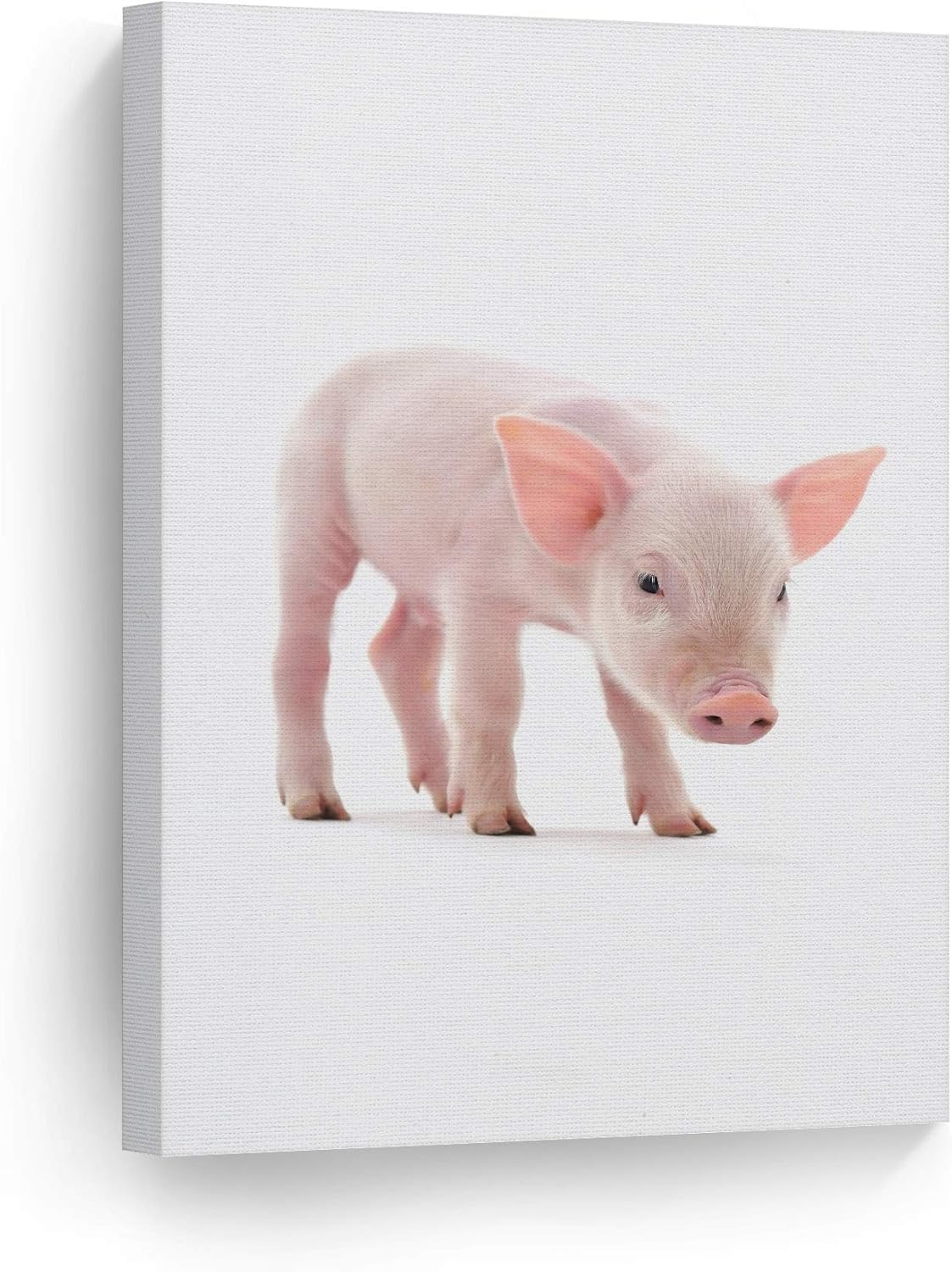 Asdg12s-Portrait of Cute Little Pink Pig Baby Animal Canvas Wall Art ...