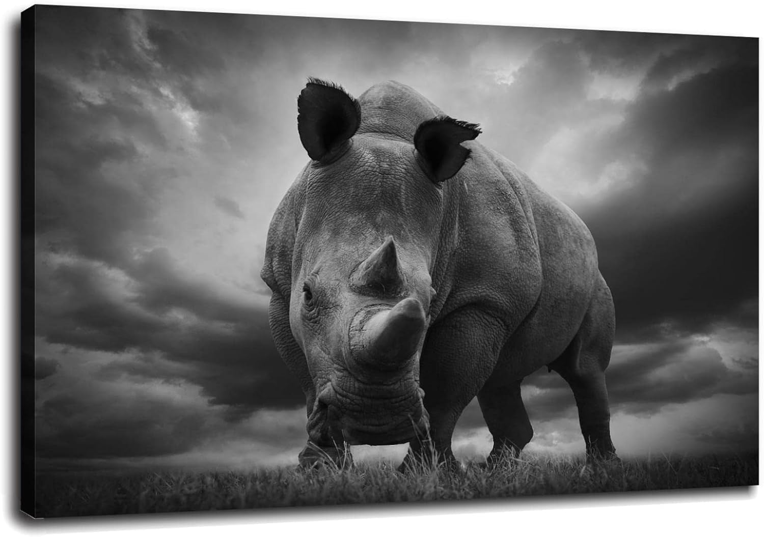 Asdg12s-Rhino Black And White Canvas Prints Wall Art Pictures Wall ...