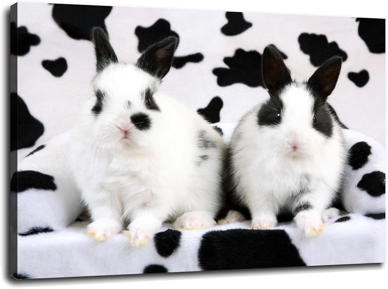 Asdg12s-SPOTTED RABBITS Animal Poster - Picture Poster Print Art Canvas ...