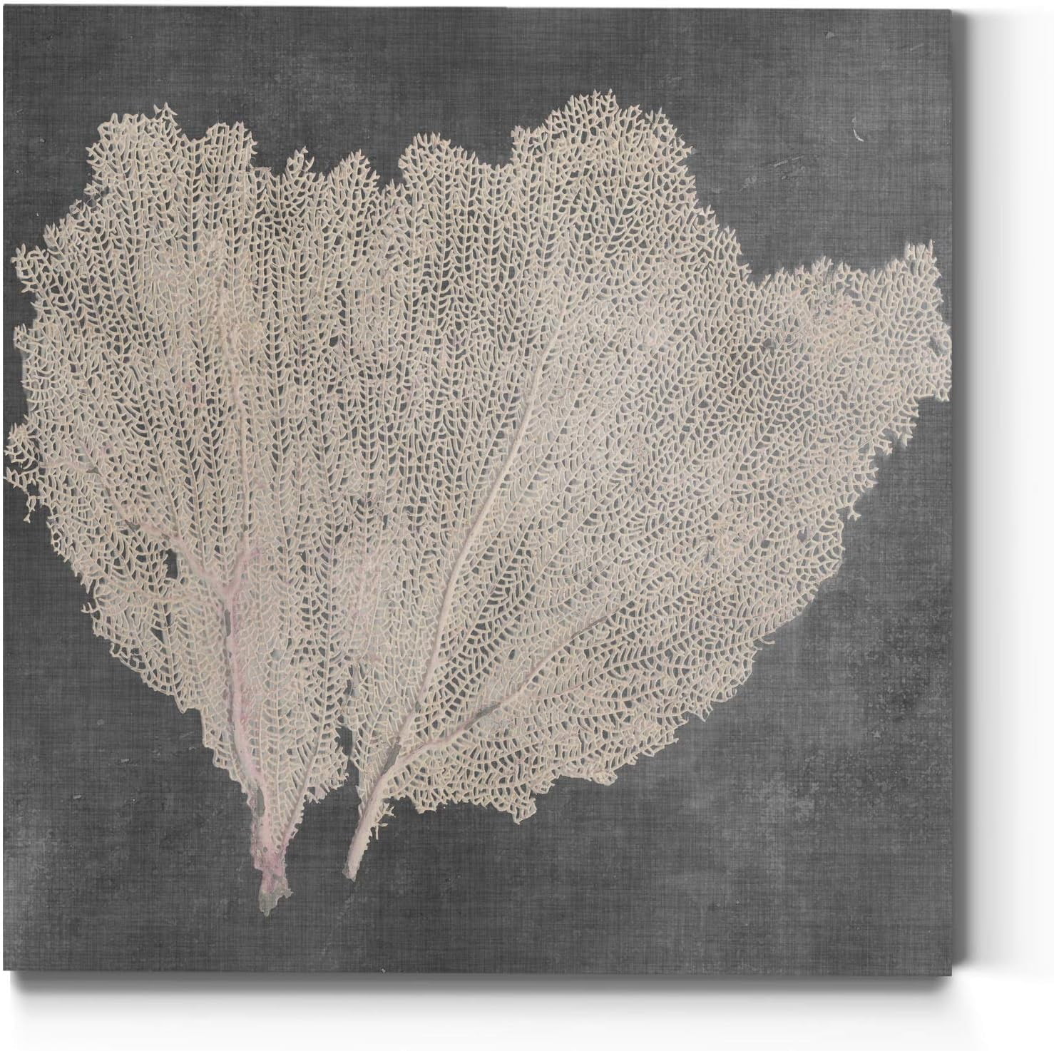 Asdg12s-Square Canvas Wall Art: Neutral Coastal, Multicolor Nature ...