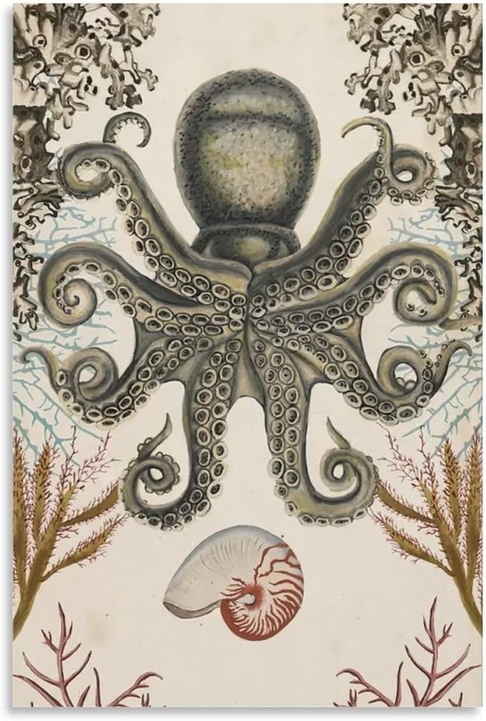 Asdg12s-Vintage Art Posters Mural, Octopus Shell, Gym Bedroom Living ...
