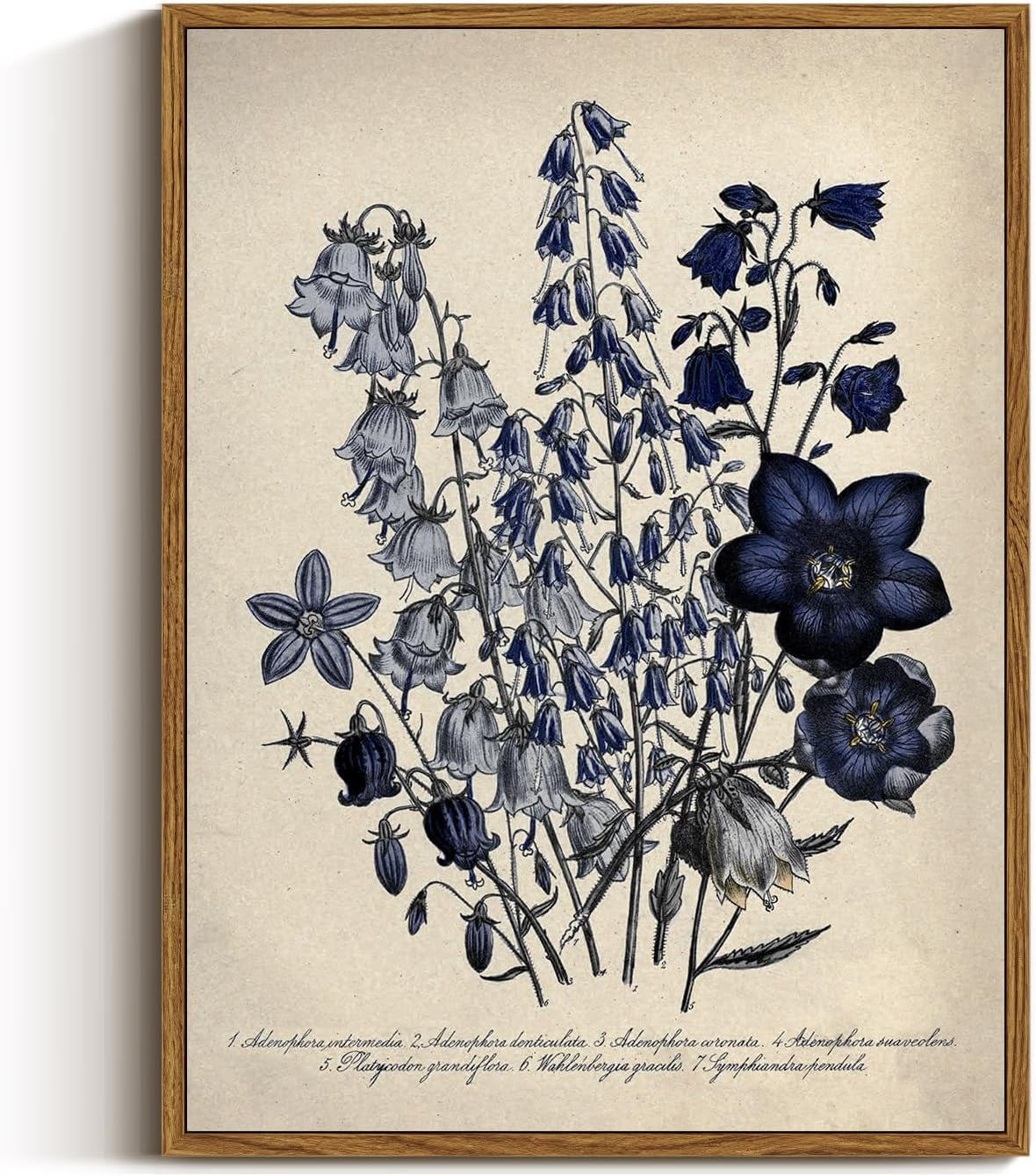 Asdg12s-Vintage Framed Botanical Wall Art Decor, Living Room Bedroom ...