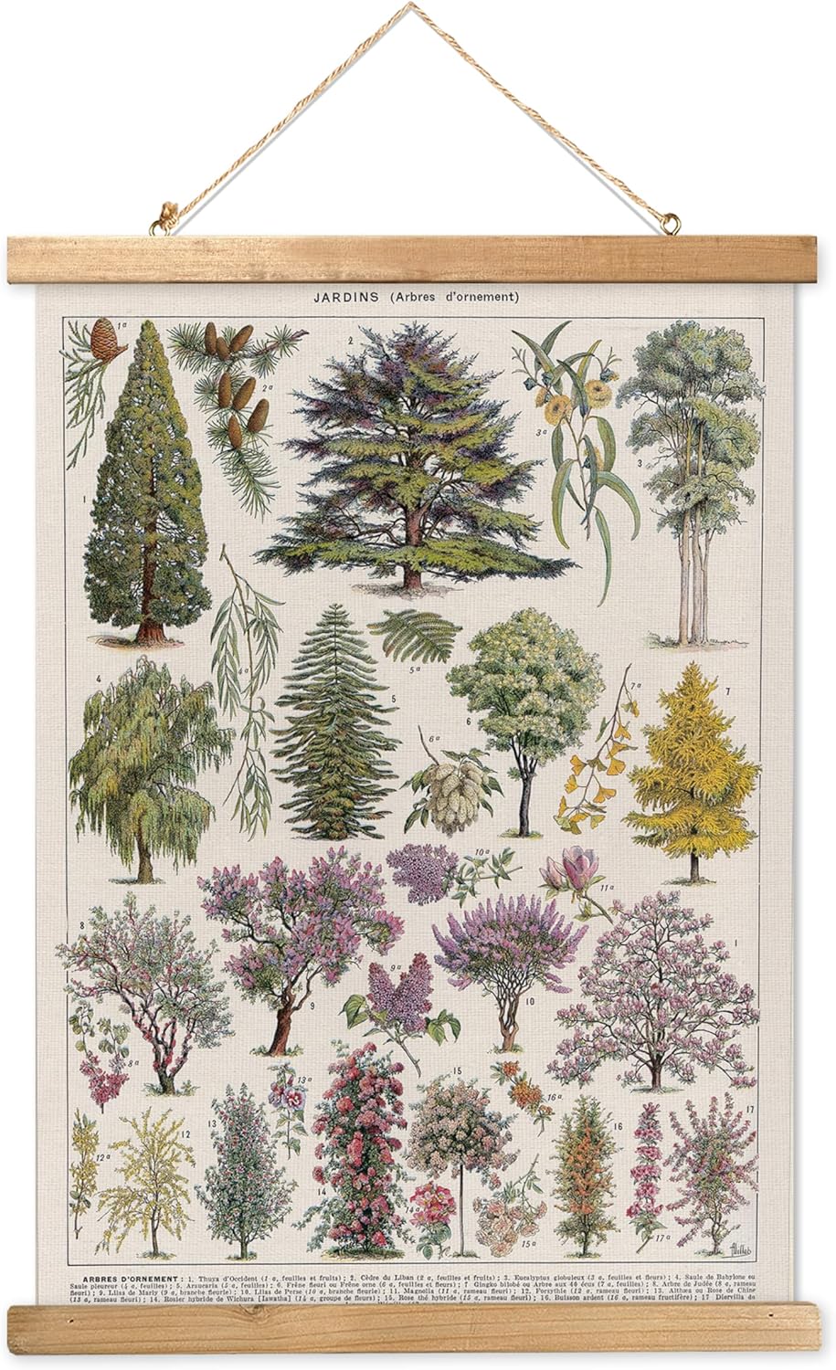 Asdg12s -Vintage-Tree-Wall-Art-Poster-with-Wooden-Frame---Natural ...