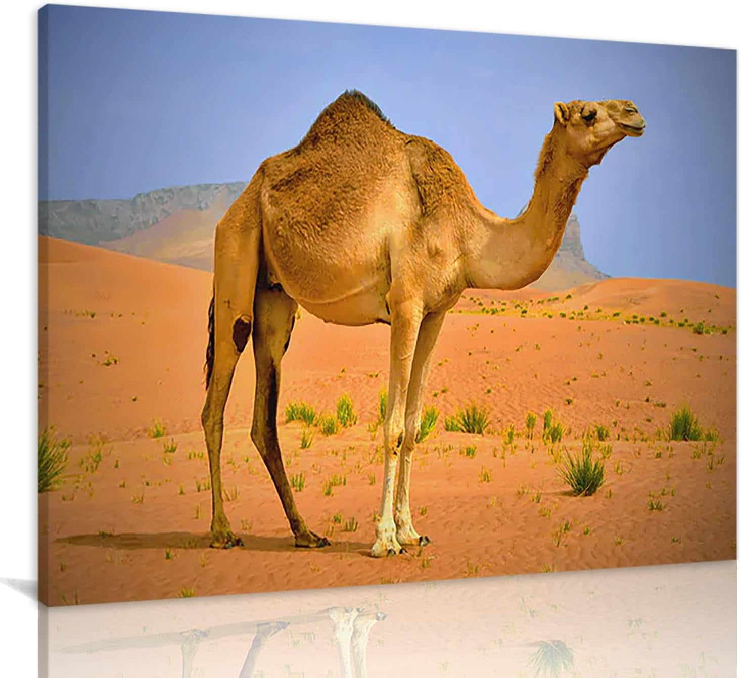 Asdg12s-poster-Camel-Canvas-Painting-Modern-Abstract-Animal-Posters-and ...