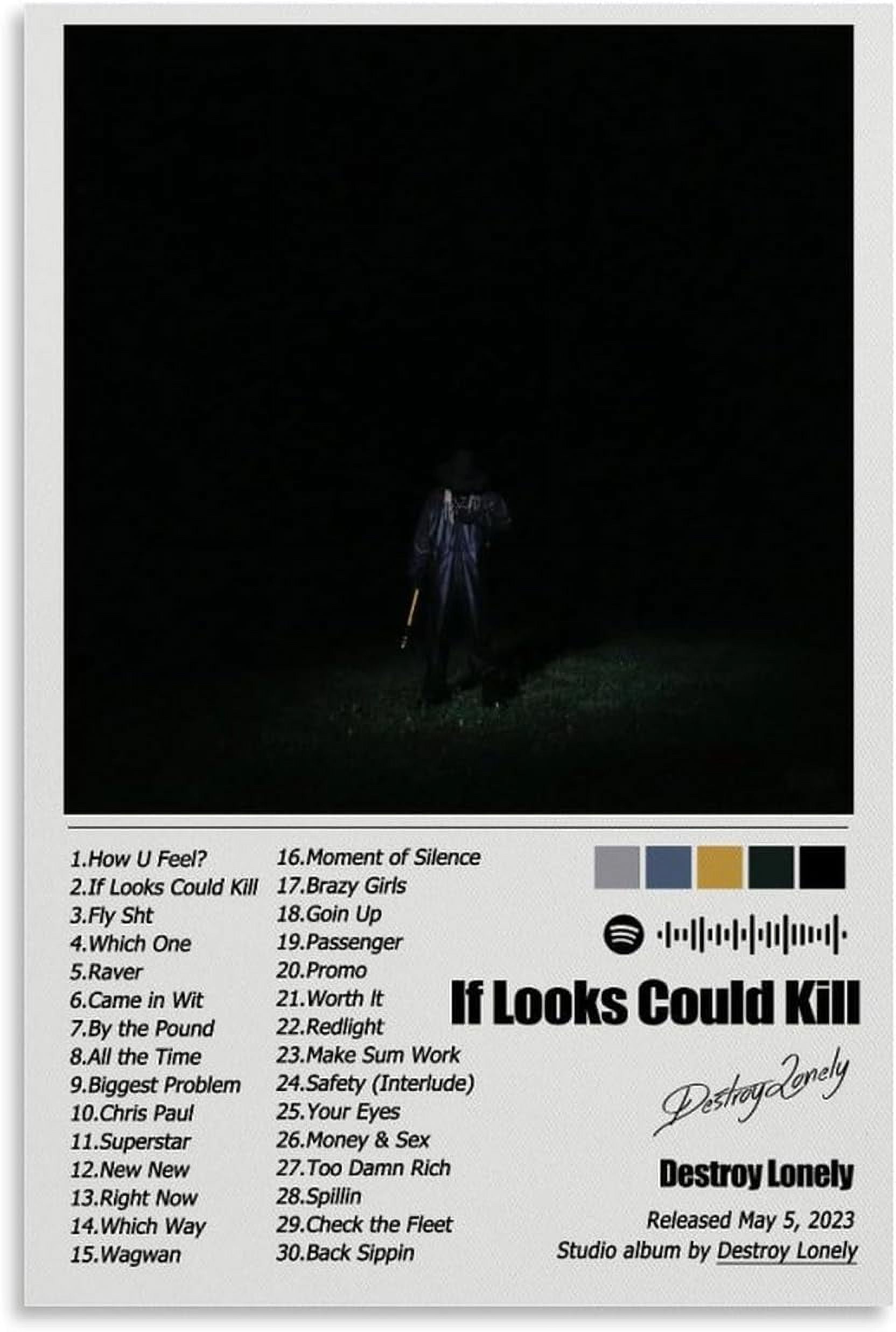 Asdg12s poster-Destroy-Lonely-Poster-If-Looks-Could-Kill-Album-Cover ...