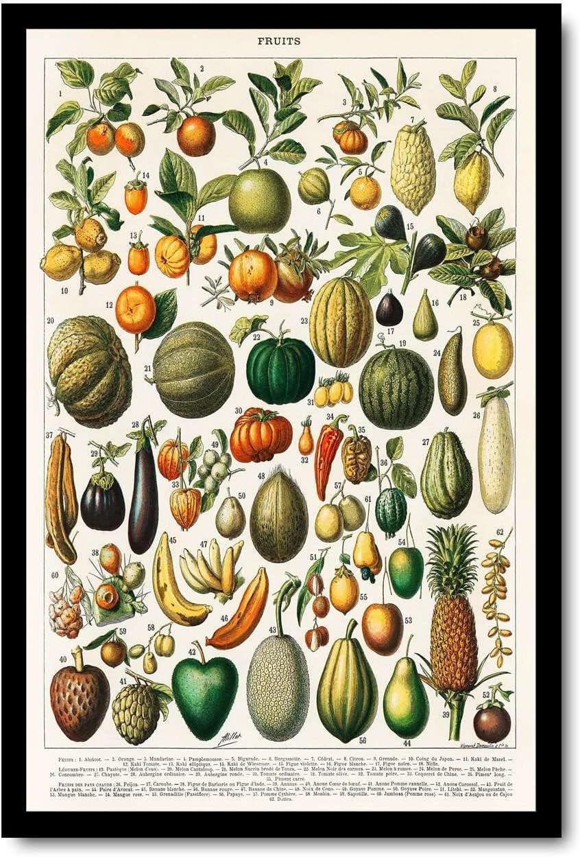 Asdg12s poster Lemon-Tree-Fruit-Posters,-Room-Aesthetics-Wall-Decor ...