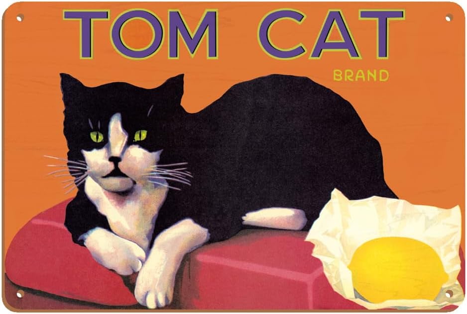 Asdg12s poster Trademark-Fine-Art-'-Tropical-Window-to-Paradise-IV-'-Canvas-Art-by-Leo-Kelly ...