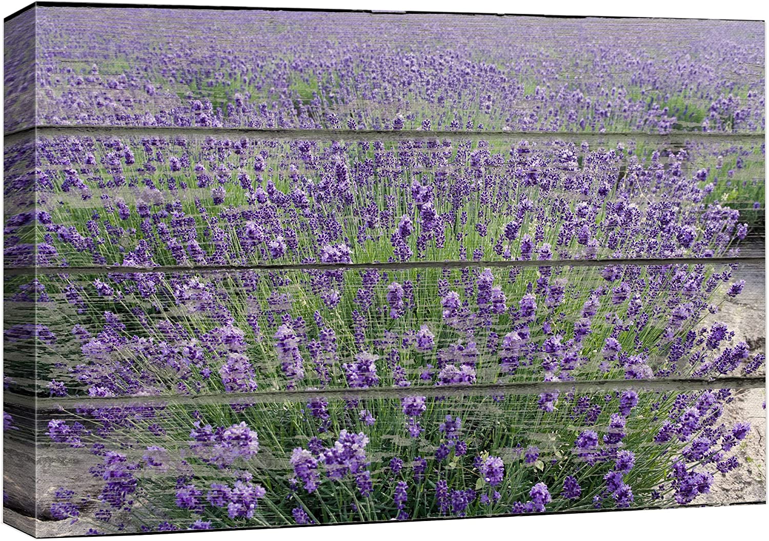 Asdg12sCanvas Print Wall Art Purple Lavender Field Nature Floral Wood ...