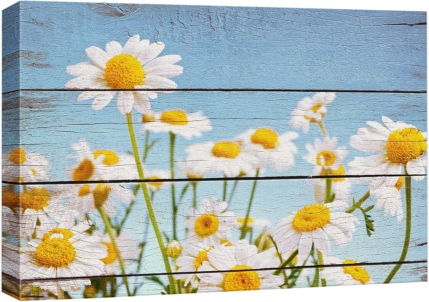 Asdg12sCanvas Print Wall Art White Daisy Field on Retro Wood Panels ...