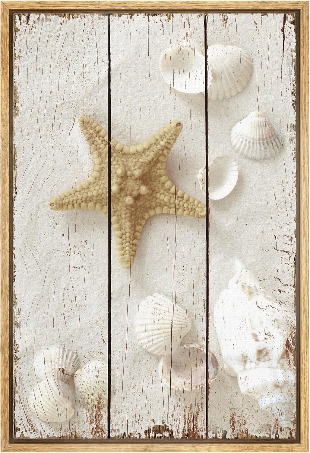 Asdg12sFramed Canvas Print Wall Art Brown Starfish & White Seashells on ...