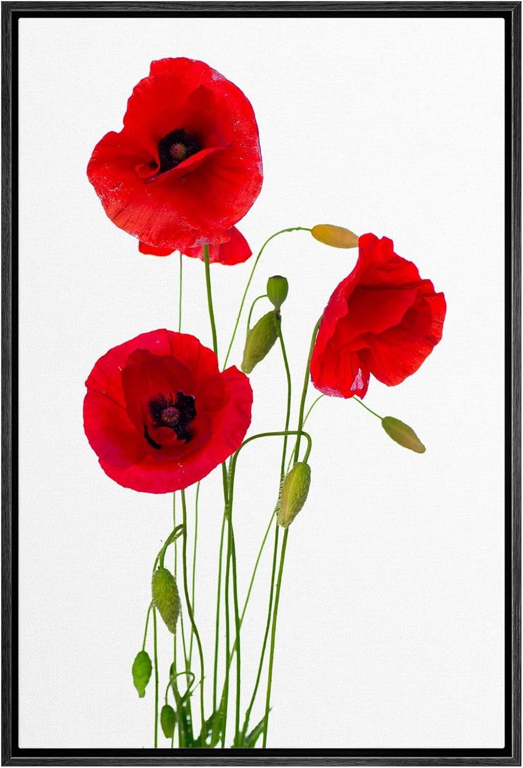 Asdg12sFramed Canvas Print Wall Art Red Poppy Flowers on White Wood ...