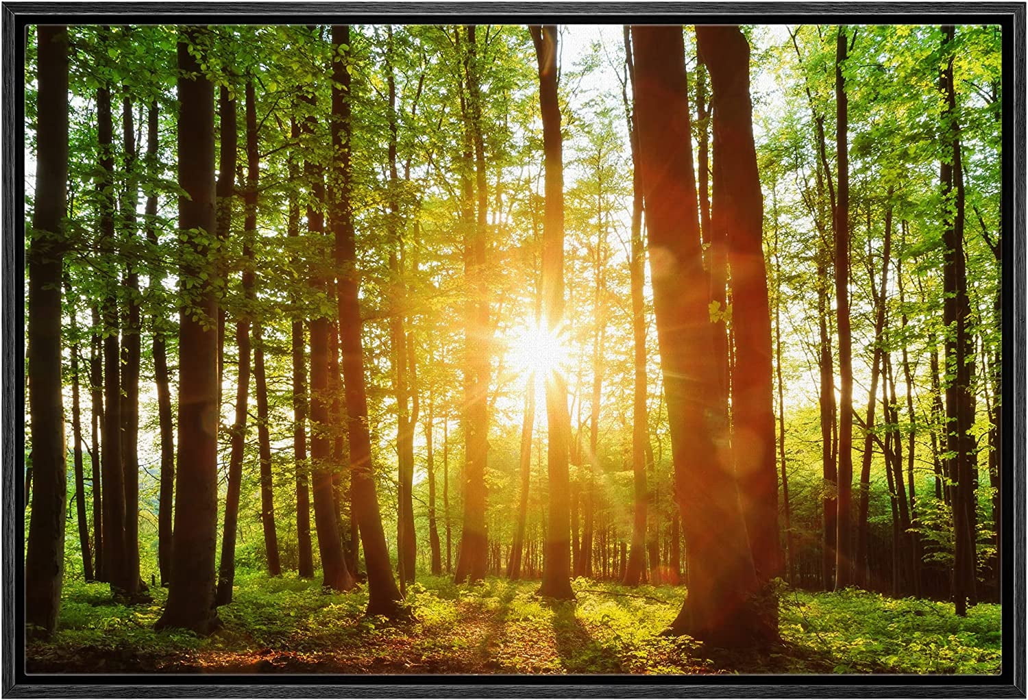 Asdg12sFramed Canvas Print Wall Art Sunrise Over The Green Forest ...