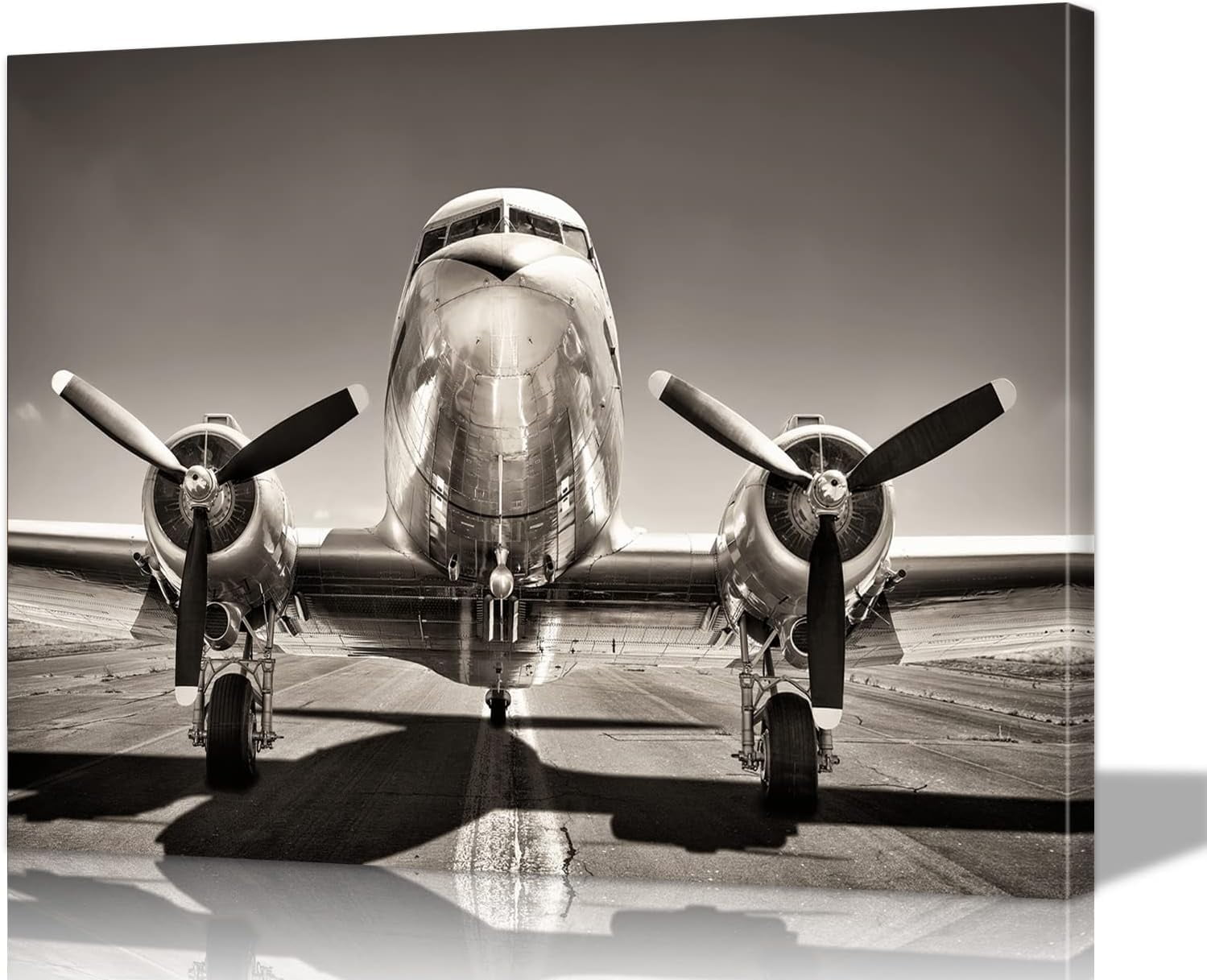 Asdg12sVintage Airplane Decor Douglas DC3 Aviation Art Aviation Wall ...
