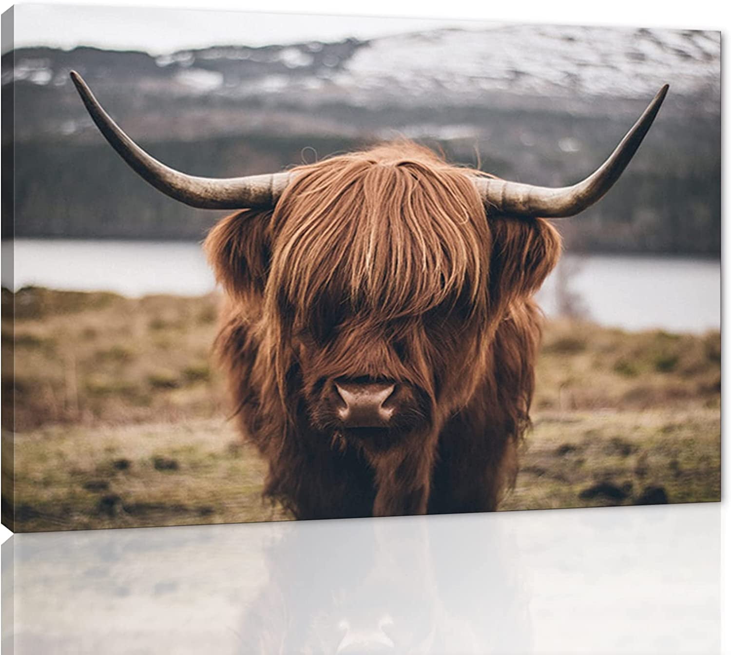 Asdg76s-Banksy Graffiti Freedom Highland Cow Picture Canvas Wall Art ...