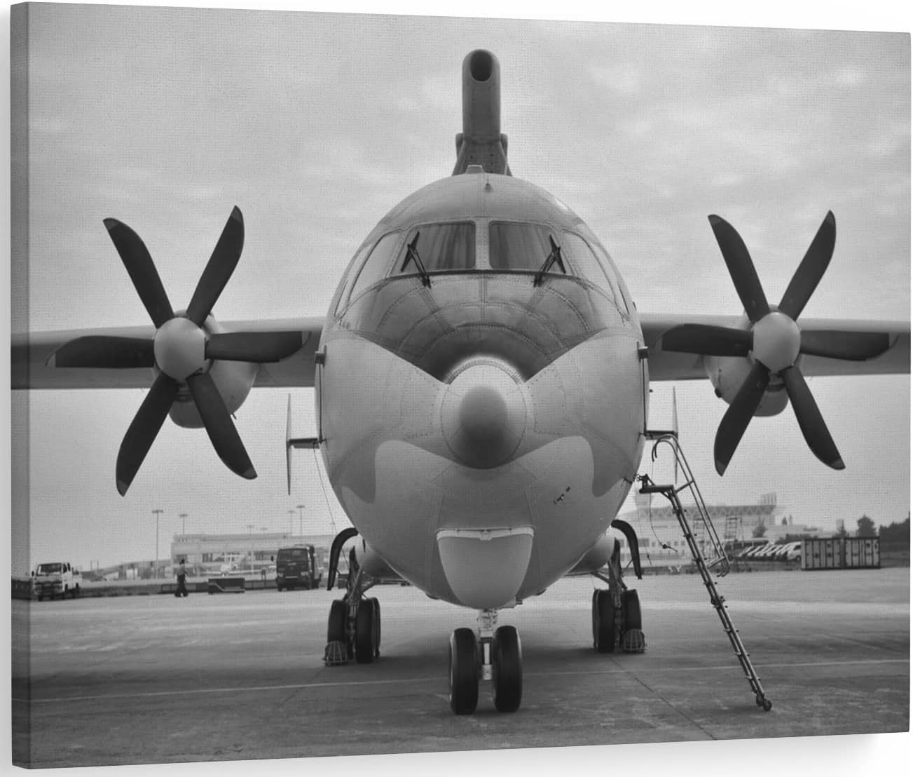 Asdg76s-Black And White Airplane Canvas Wall Art Prints Fighter Jet ...