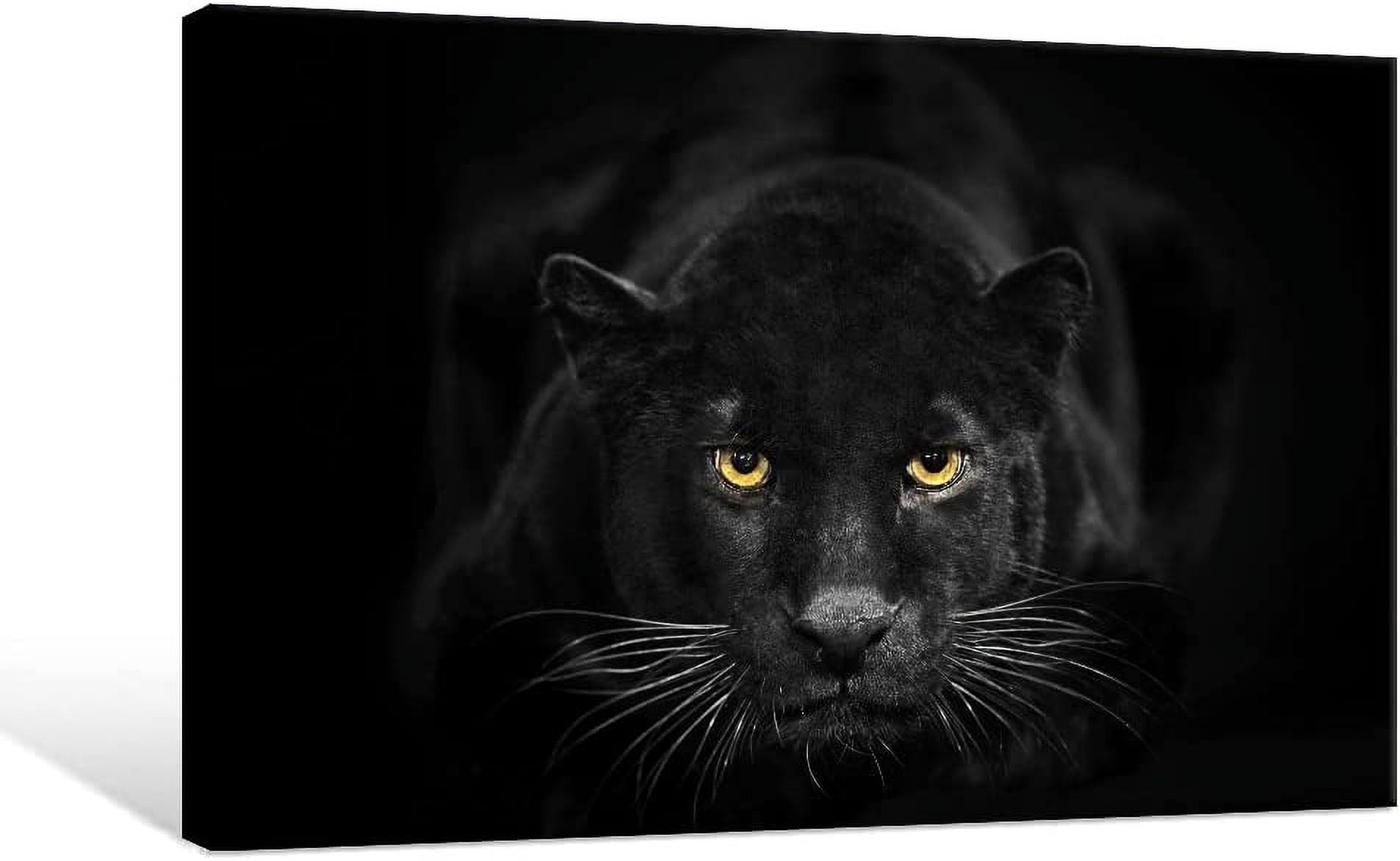 Asdg76s-Black Panther Canvas Wall Art Large Size Black and White ...
