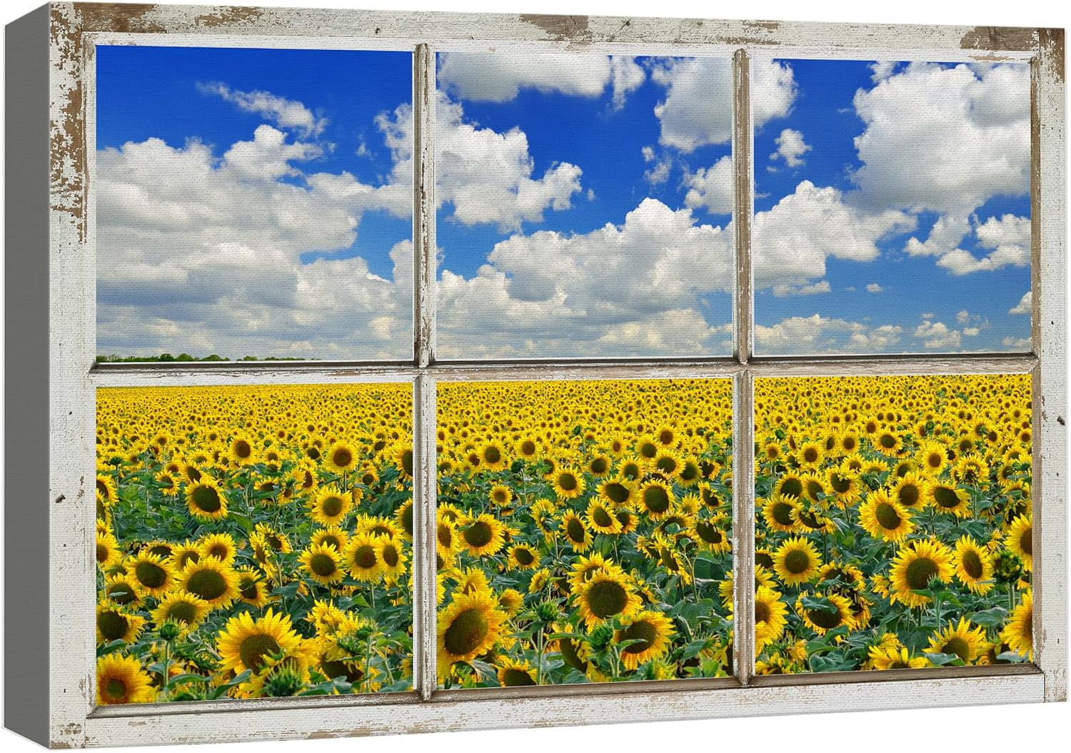 Asdg76s-Canvas Print Wall Art Window View Dandelion Flower ...