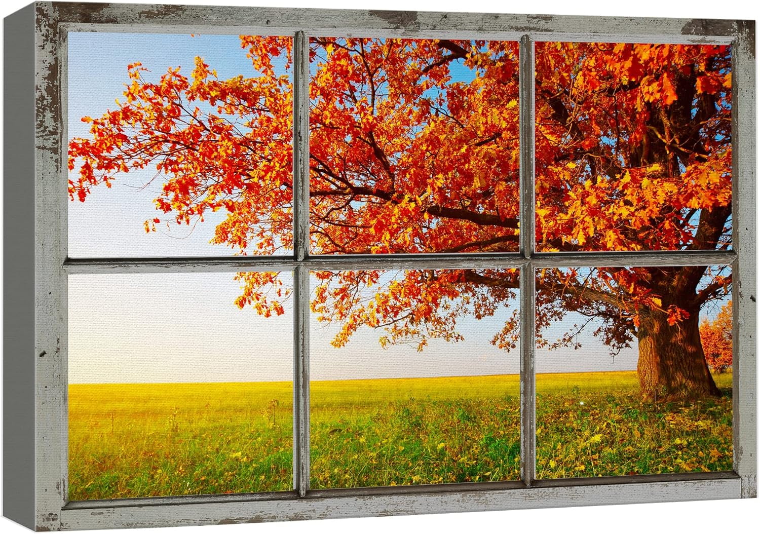 Asdg76s-Canvas Print Wall Art Window View Dandelion Flower ...