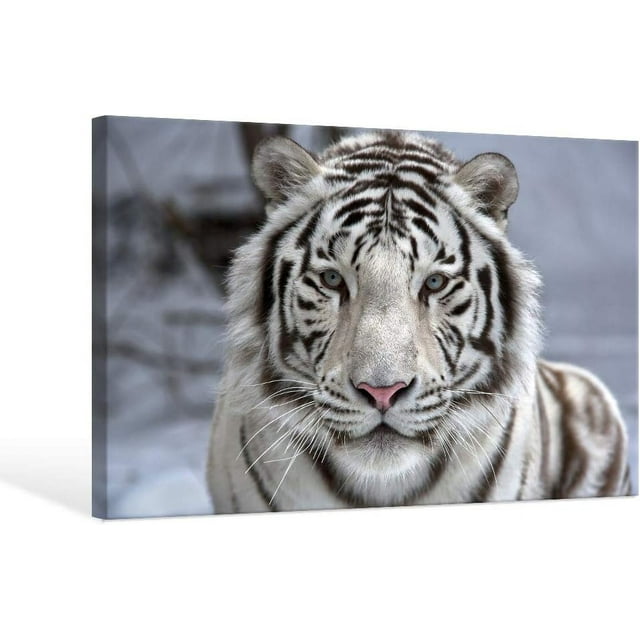 Asdg76s-White Tiger Canvas Wall Art Bengal Tiger Picture Print Winter ...