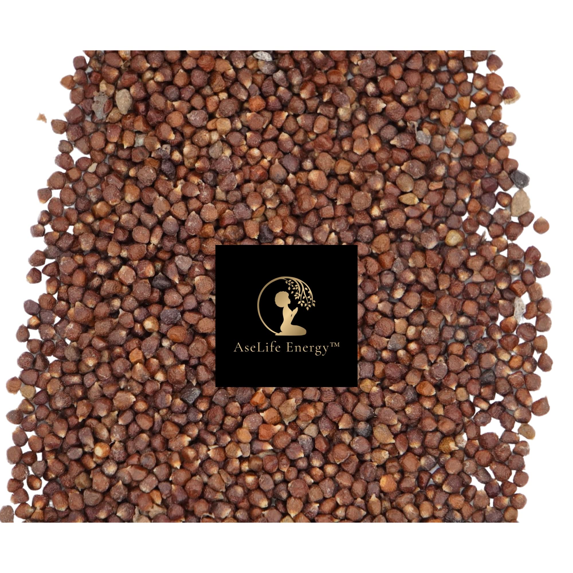 AseLife Energy™ Grains of KEF28 Paradise Spice 2 OZ Melegueta Pepper ...