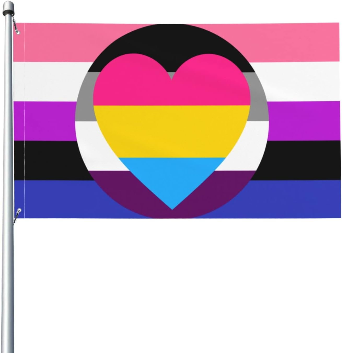 Asexual Ace Panromantic Pan Genderfluid Heart Pride Flag Welcome Party ...