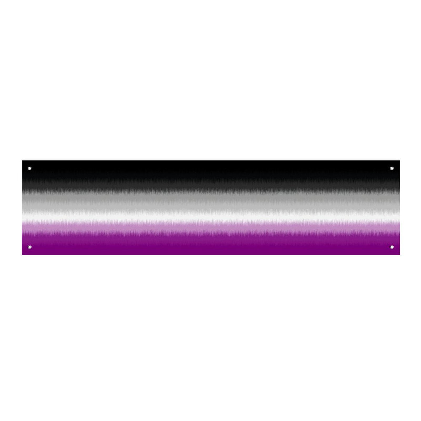 Asexual Pride Flag LGBTQ Banners Flag Hanging Backdrop Sign Wall ...