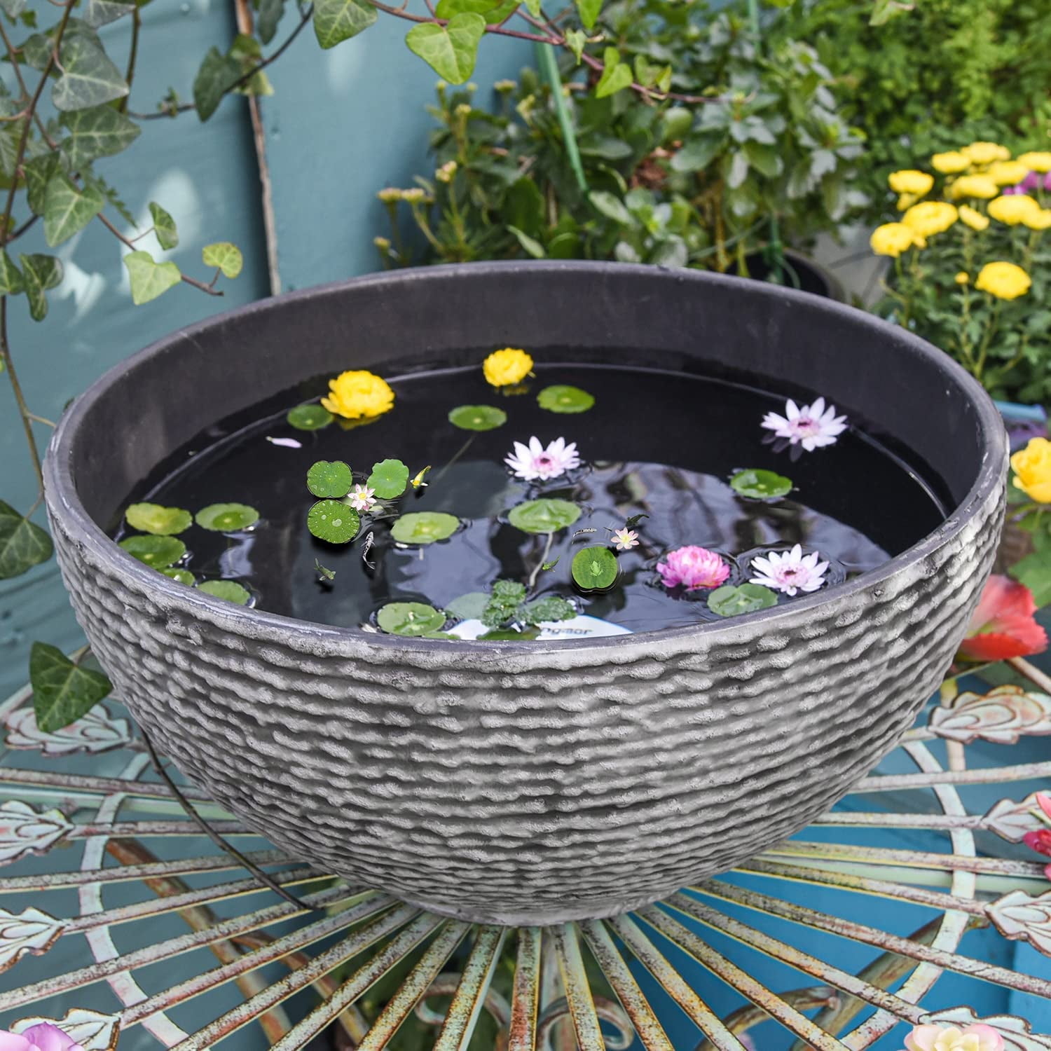 Ash Black Resin Outdoor Low Bowl Planter Bird Bath 15.6 Inch Water Lily ...