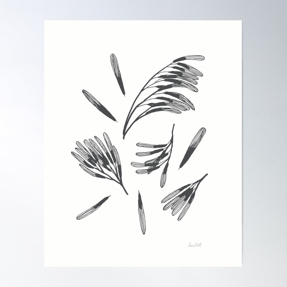 Ash Tree Seeds - Dark Gray Hand Drawn Line Art Poster Wall Art, Modern ...