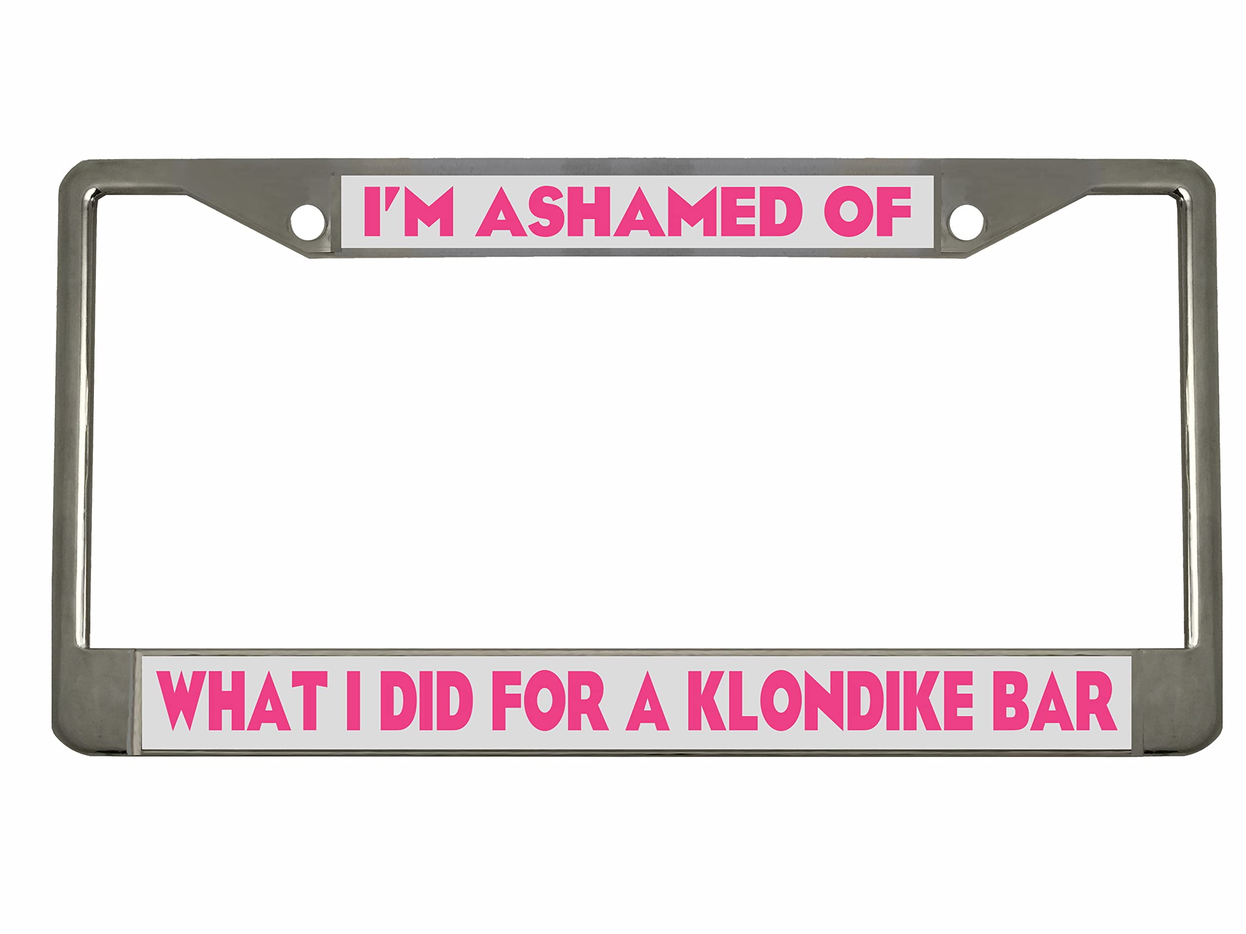 I'm Ashamed of What I did for a Klondike Bar Fun Style Metal License ...