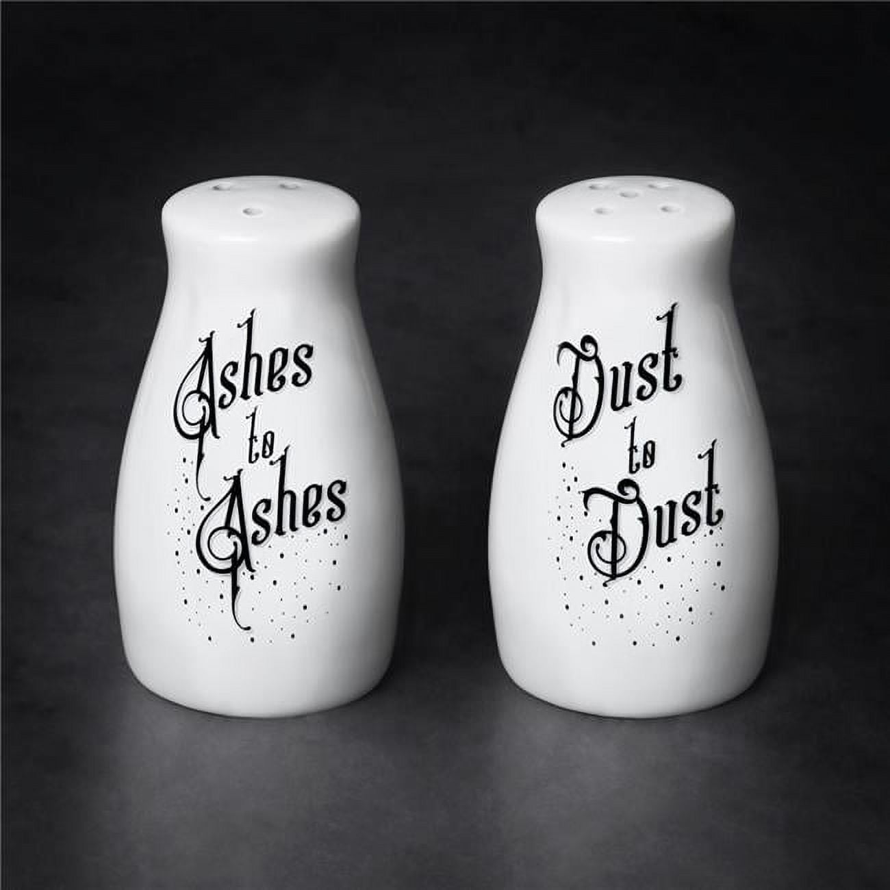 Ashes to Ashes, Dust to Dust Salt & Pepper Shaker Set, White - Walmart.com
