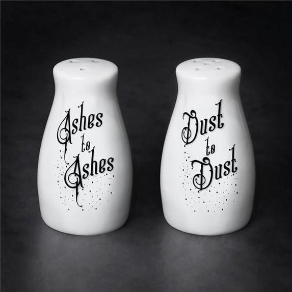 Ashes to Ashes, Dust to Dust Salt & Pepper Shaker Set, White - Walmart.com