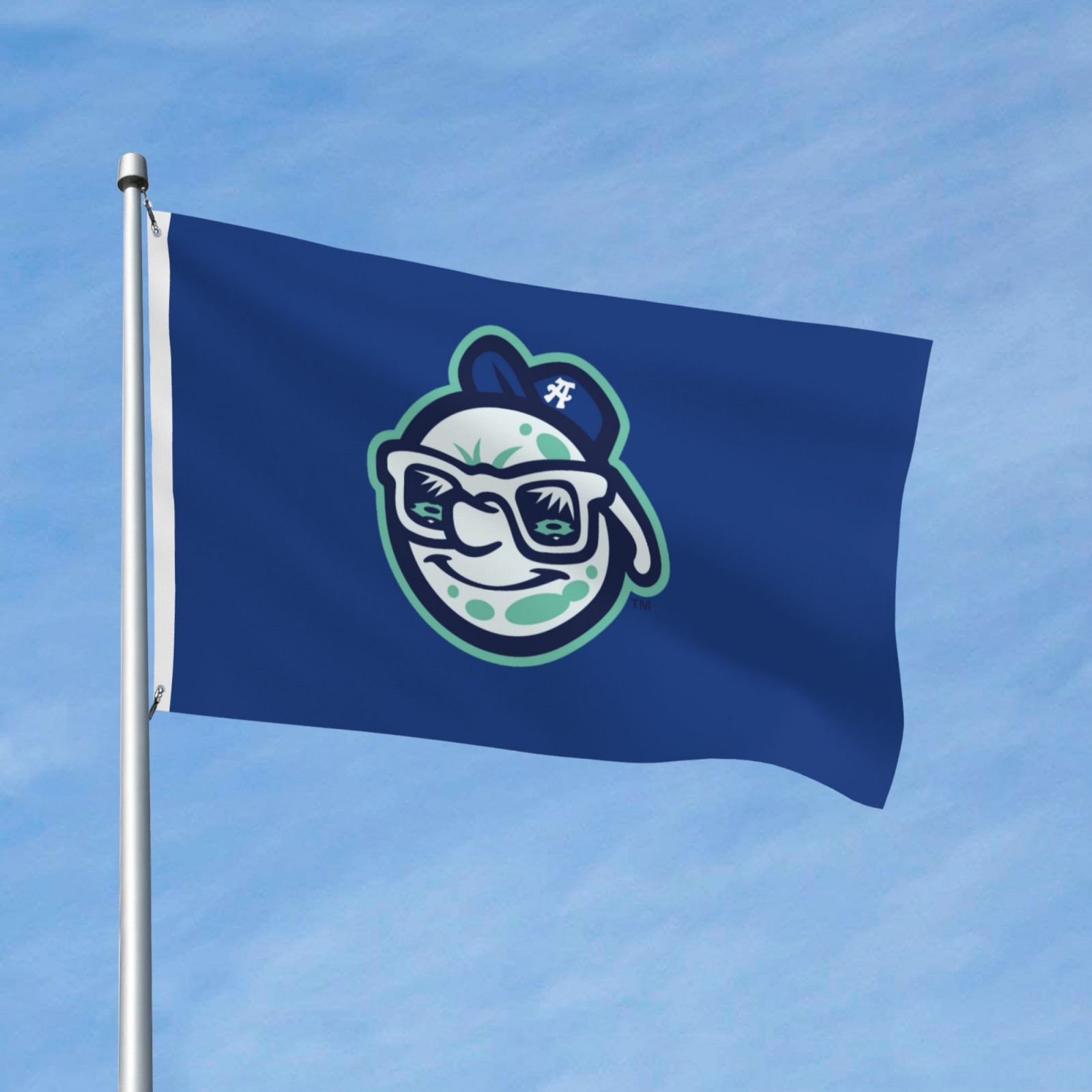 Asheville Tourists Banner 3x5 Ft Flag,Double Sided Printed Flag Indoor ...