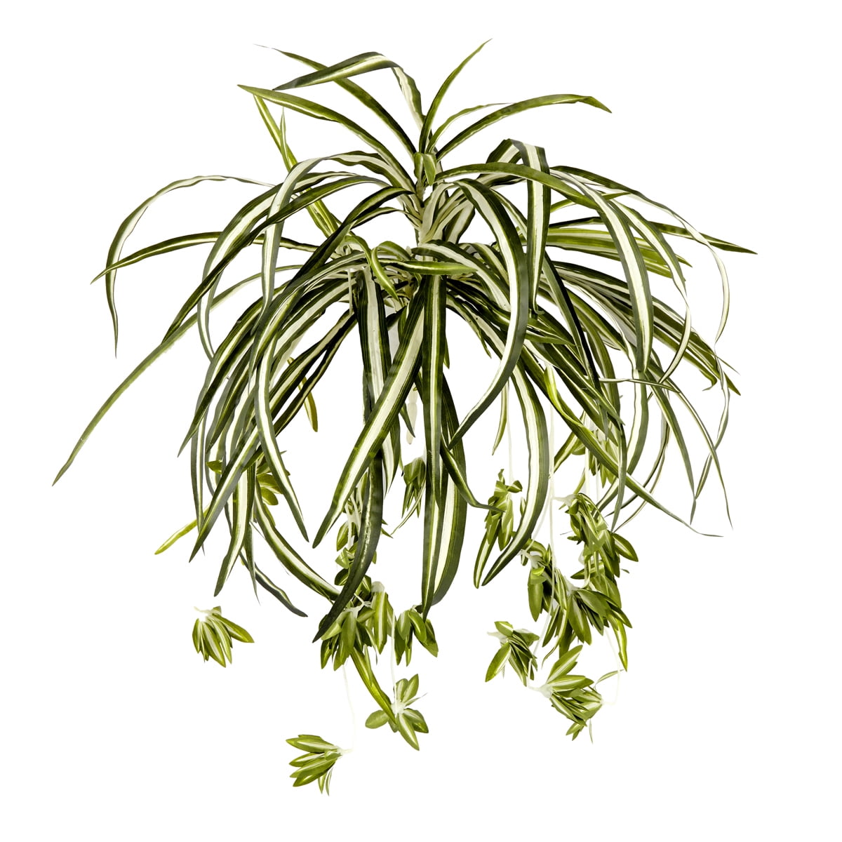 Ashland Classic Greenery Collection Artificial Spider Bush in Light ...