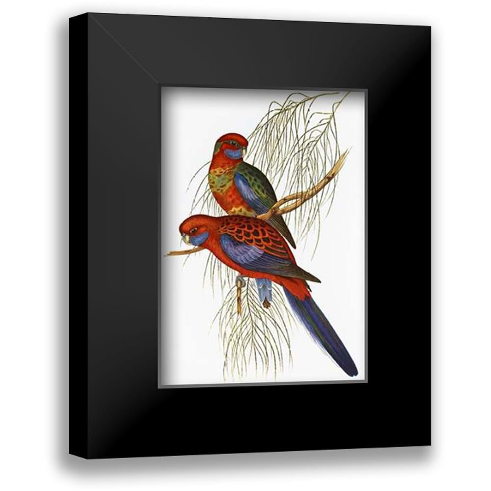Ashley, Aaron 11x14 Black Modern Framed Museum Art Print Titled ...