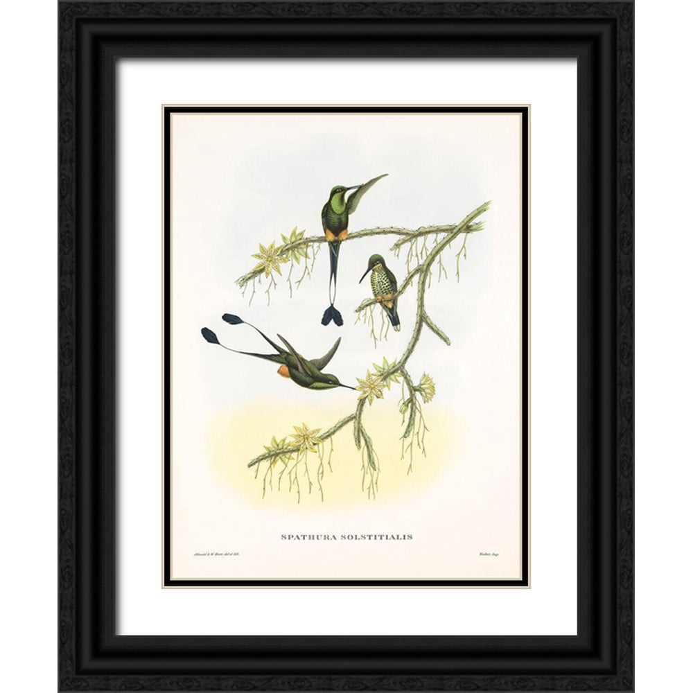 Ashley, Aaron 12x14 Black Ornate Wood Framed with Double Matting Museum ...