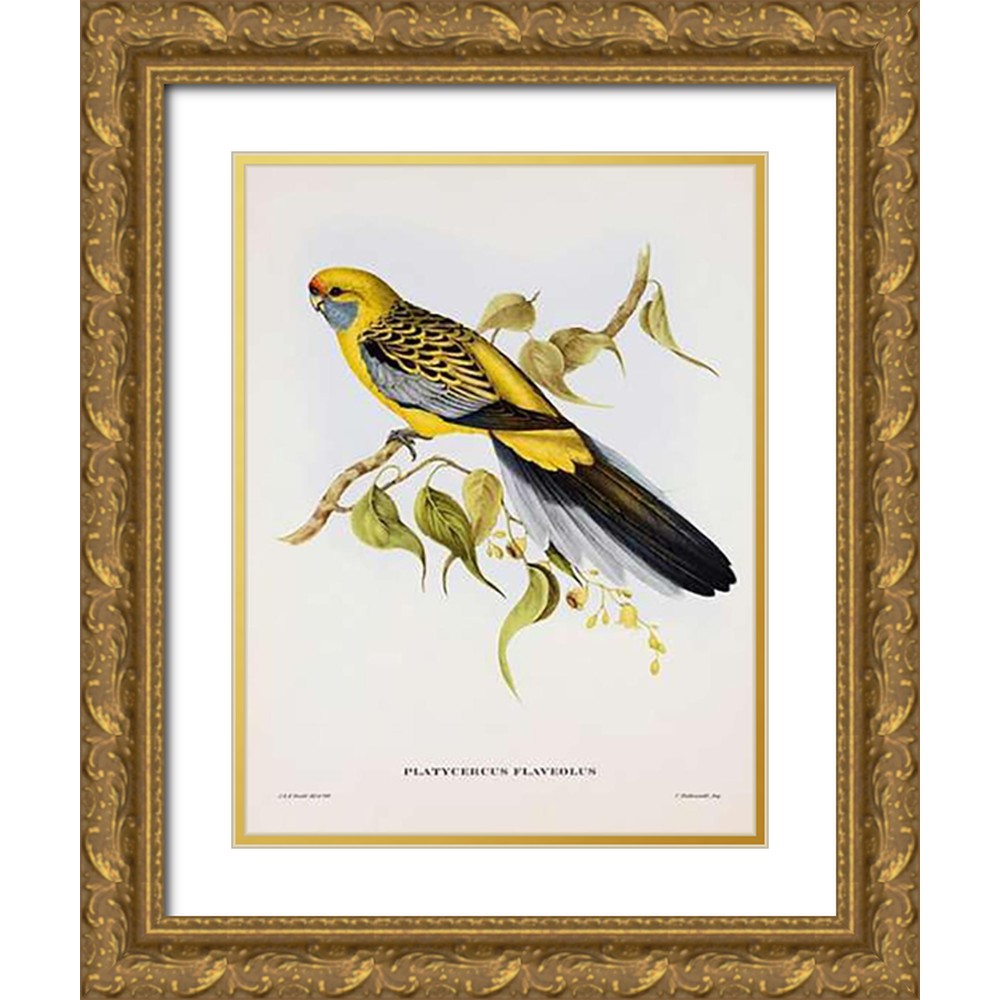 Ashley, Aaron 19x24 Gold Ornate Wood Framed with Double Matting Museum ...