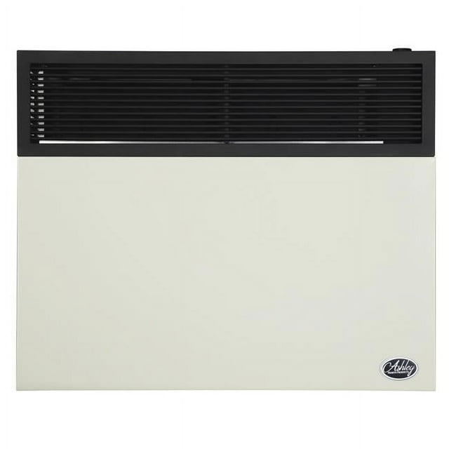 Ashley Hearth Products 25,000 BTU Direct Vent Propane Heater - Walmart.com