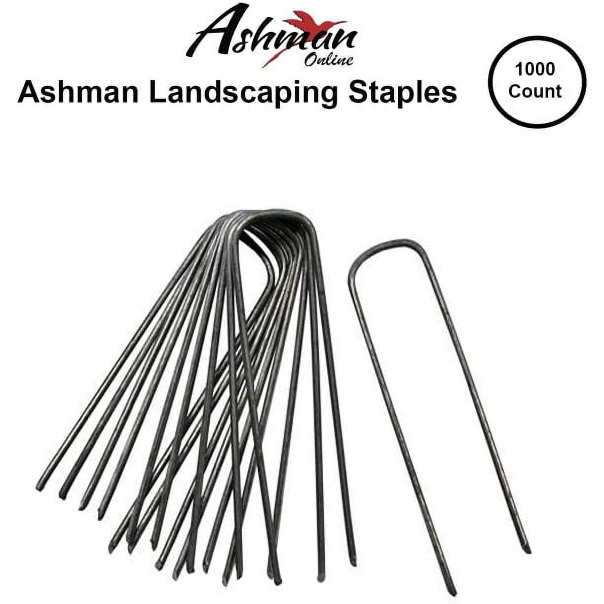 Ashman Silver Color Garden Stakes, Galvanized Landscape Staples (1000 ...